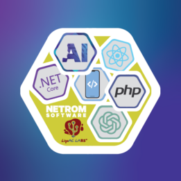 NetRom Software – We makeIT click